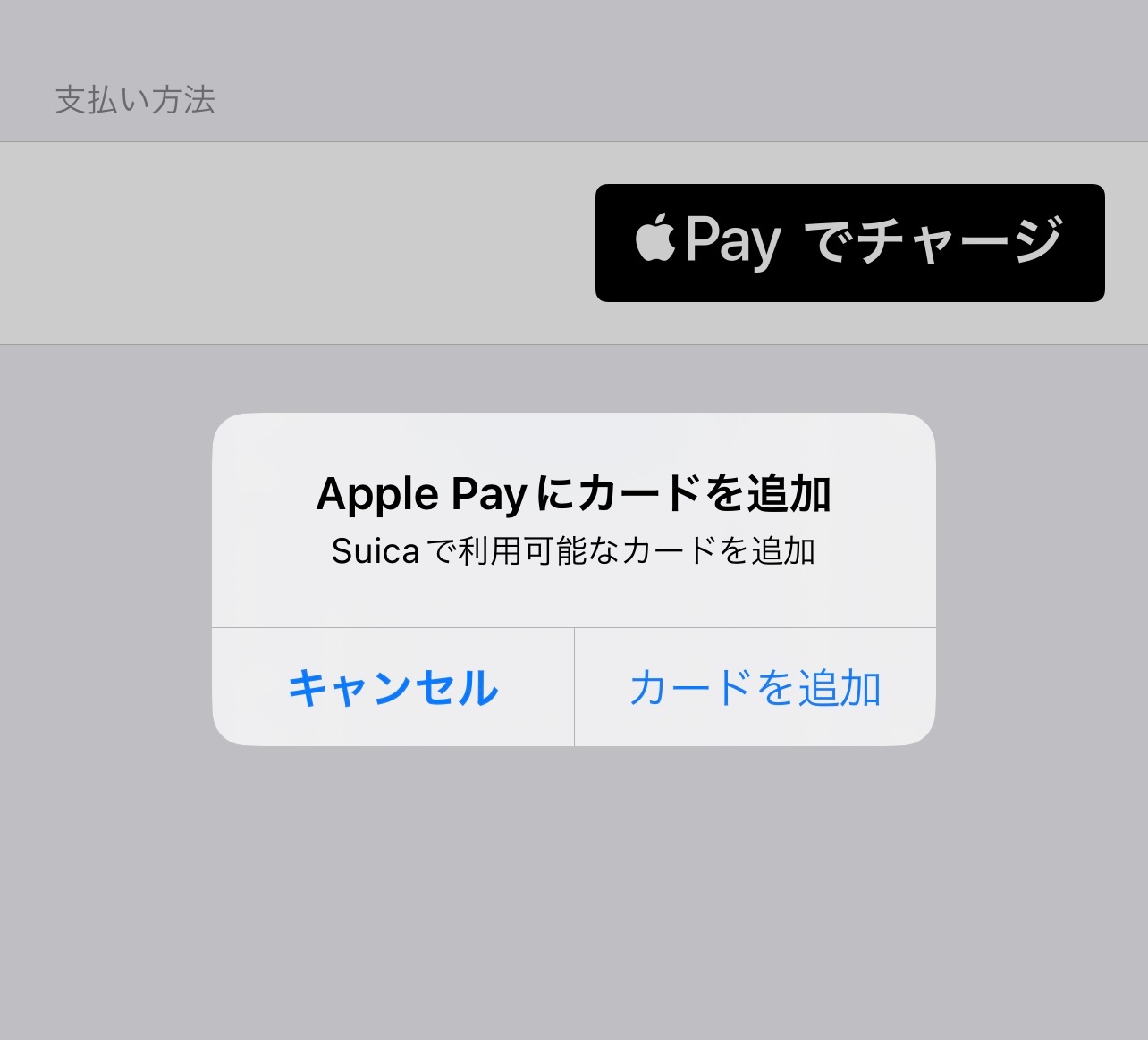 Suicaチャージ・新規発行が出来ない - Apple コミュニティ